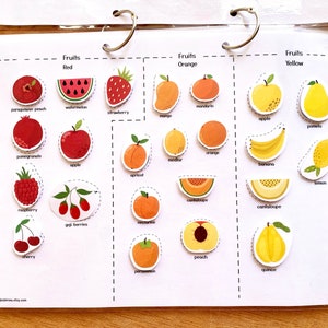 Eating Real Rainbow Worksheet, Printable Busy Book, Activity Page for ...