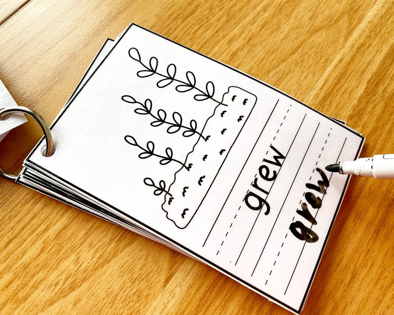 Ew Phonics Sound Flash Cards ew Digraph Printable | Etsy