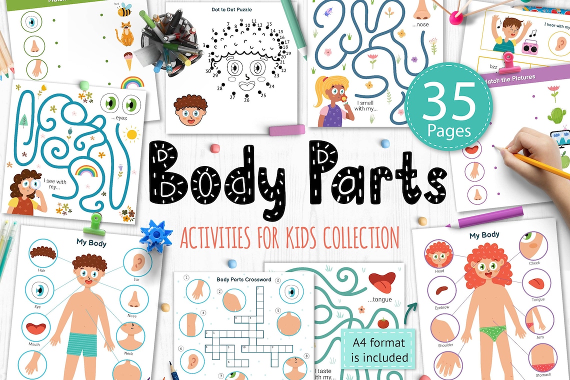 Body Parts Activity Book Pdf My Body Activity Pages | Etsy