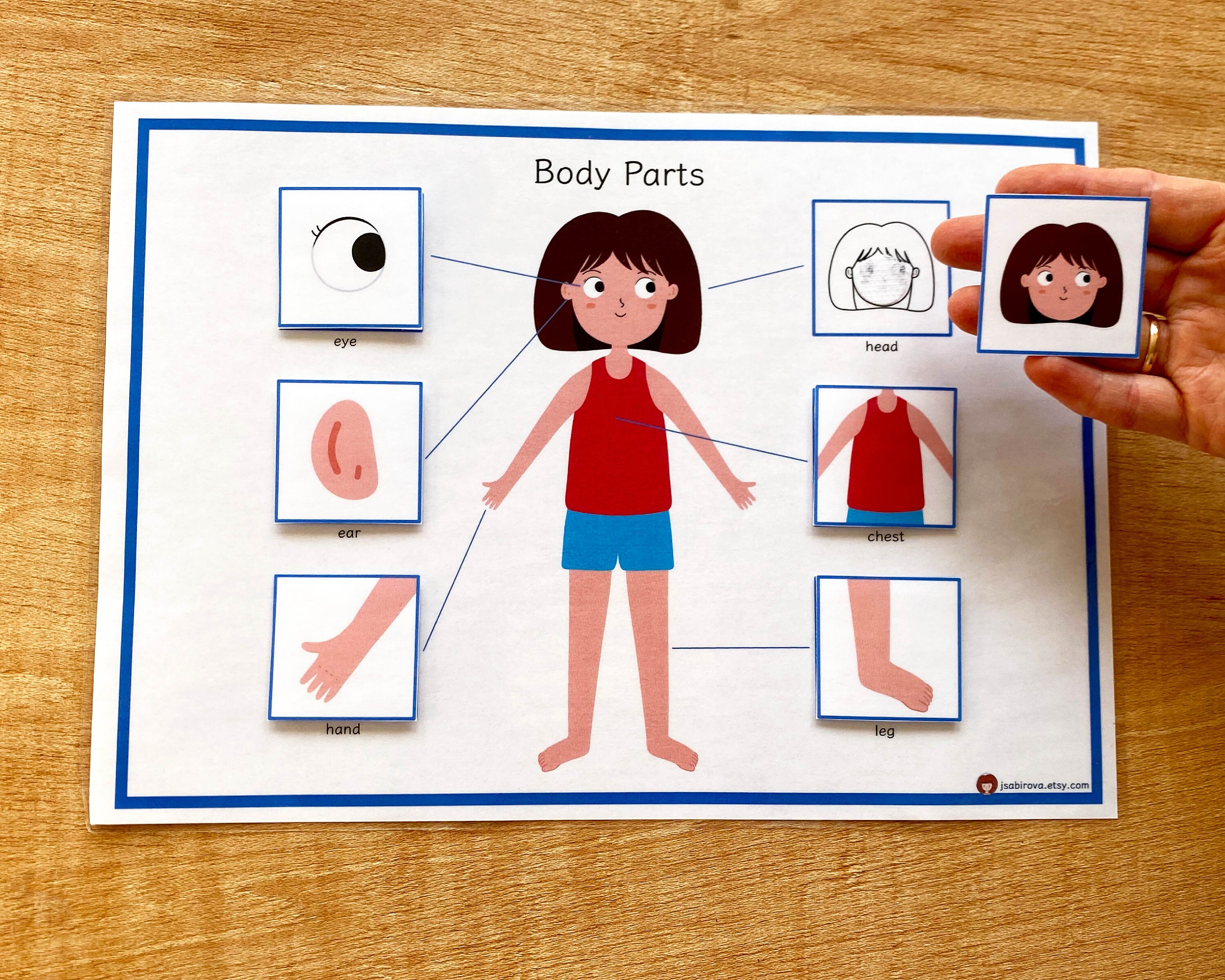 Body Parts Busy Book Page, Body Parts Matching Worksheet for Toddlers ...