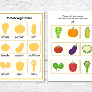 Fruits Sorting Busy Book Printable, Fruits and Vegetables Busy Book ...