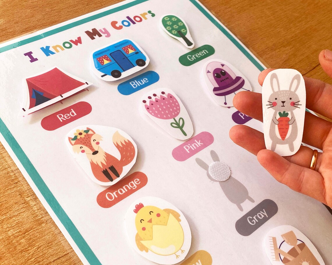 Color Sorting Busy Book Page Toddler Learning Binder | Etsy