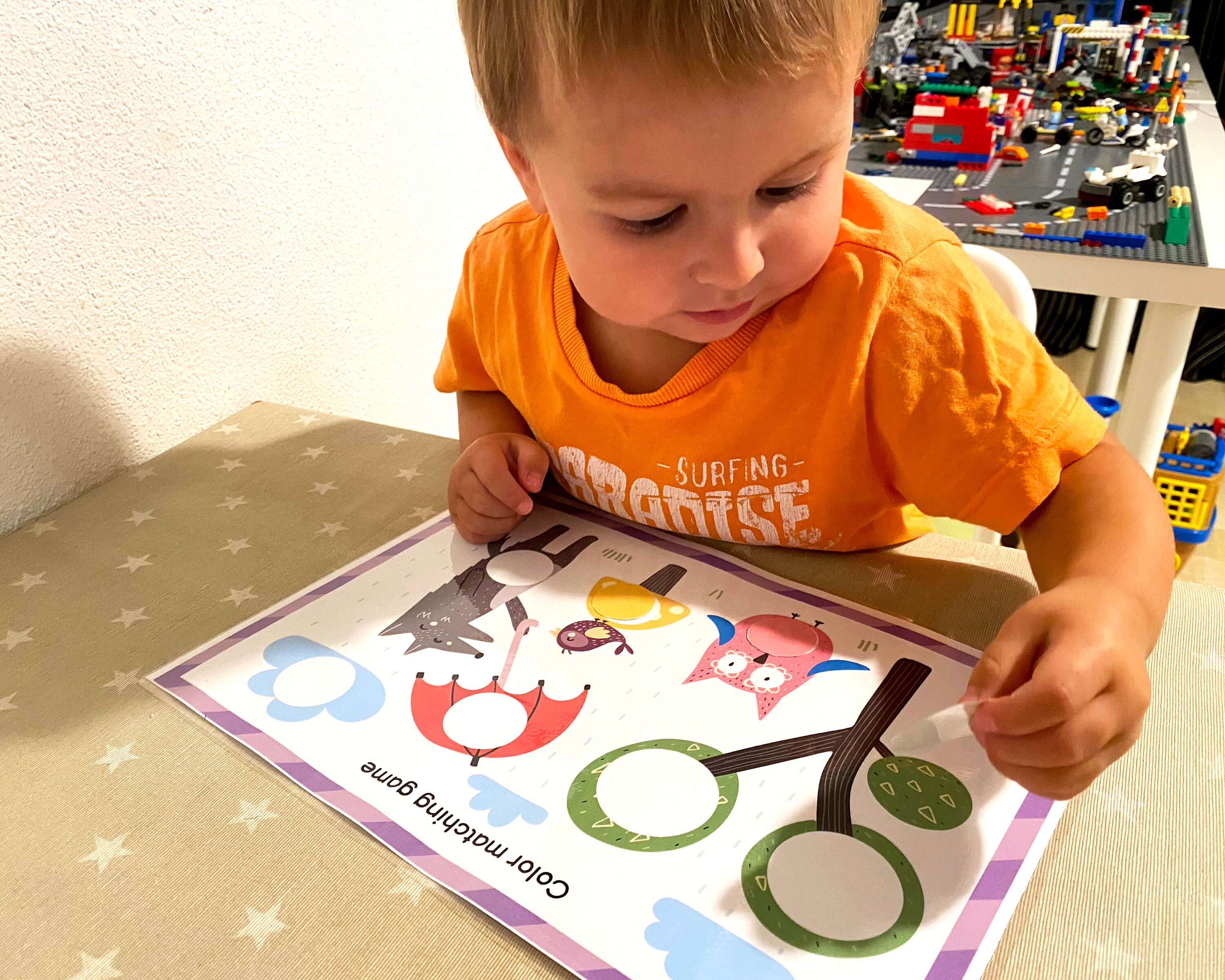 Color Sorting Busy Book Page Forest Animals Matching | Etsy