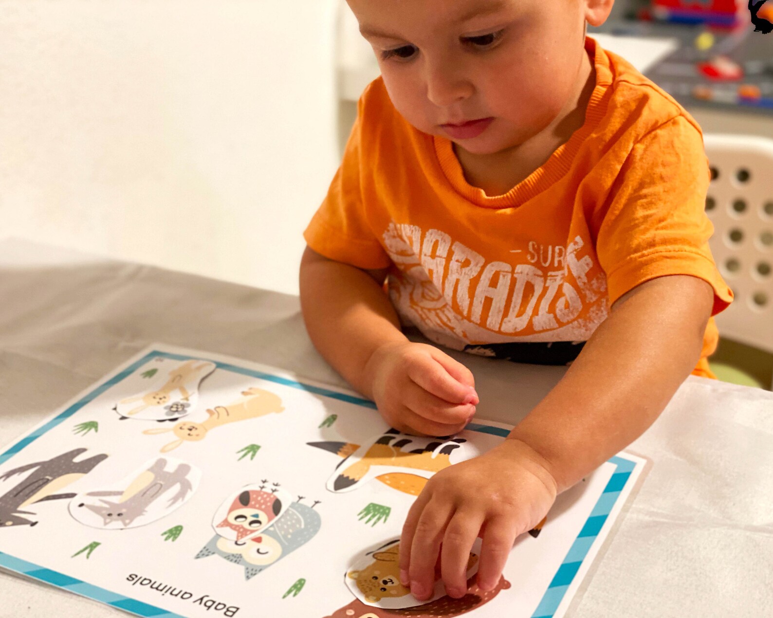 Forest Busy Book for Toddlers Quiet Book Pdf Forest Animals | Etsy