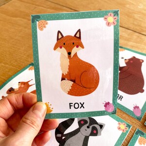 Forest Animals Flashcards Pdf, Woodland Animals Flash Cards Printable ...