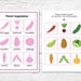 Fruits Sorting Busy Book Printable Fruits and Vegetables Busy - Etsy