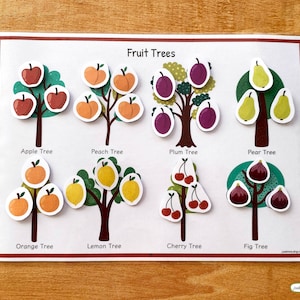 Farm Busy Book Printable, Toddler First Busy Book Pdf, Farm Animals ...