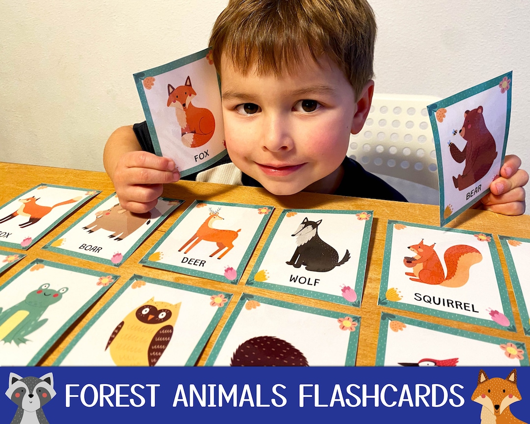 Forest Animals Flashcards Pdf, Woodland Animals Flash Cards Printable ...