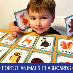 Forest Animals Flashcards Pdf, Woodland Animals Flash Cards Printable ...