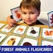 Flashcards Bundle Printable for Kids, Farm Animals Weather, Alphabet ...