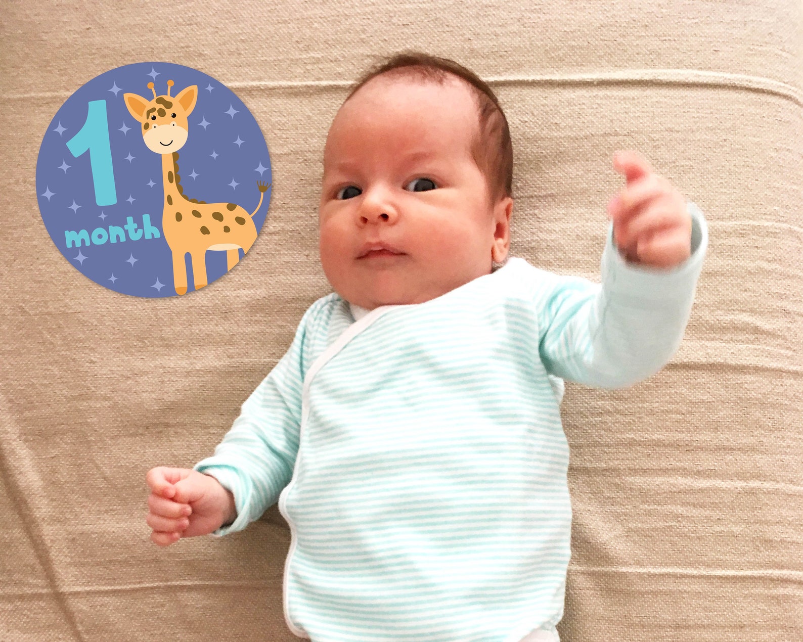 Baby Milestone Monthly Digital Stickers PDF Png Eps - Printable Baby ...