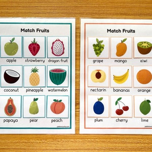 Fruits Sorting Busy Book Printable, Fruits and Vegetables Busy Book ...