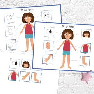 Body Parts Busy Book Page, Body Parts Matching Worksheet for Toddlers ...