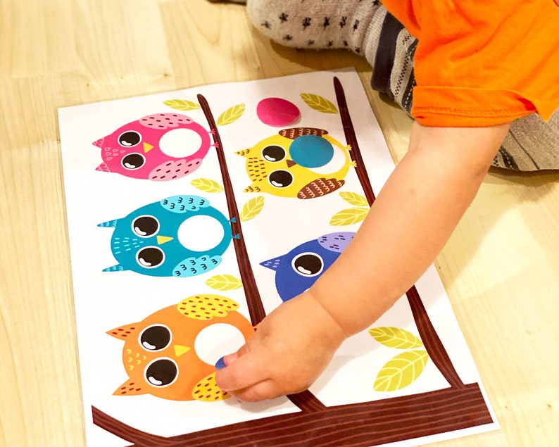 Match the Owl Colors Worksheet Busy Book Pages Toddler Busy | Etsy