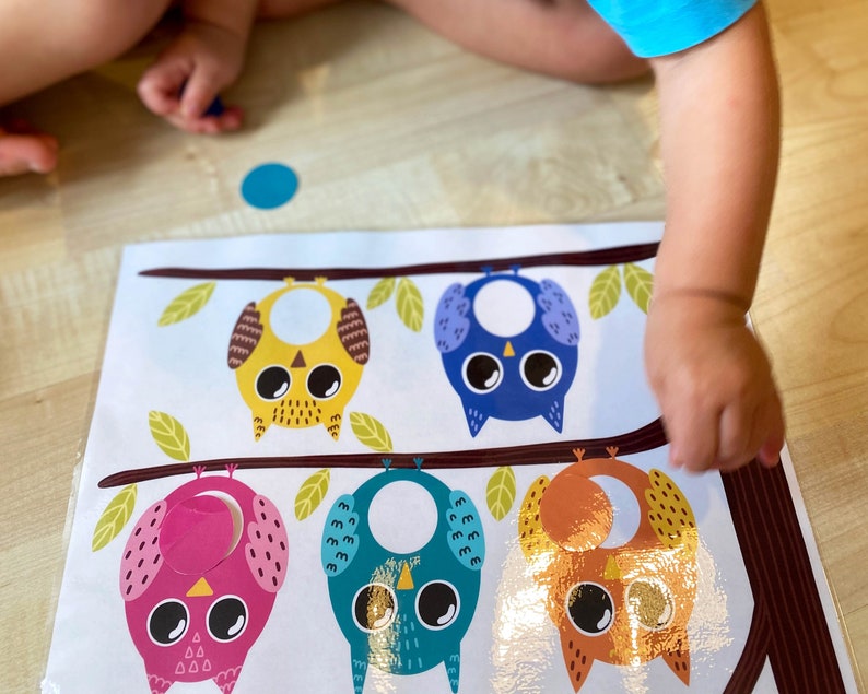 Match the Owl Colors Worksheet, Busy Book Pages, Toddler Busy Book ...