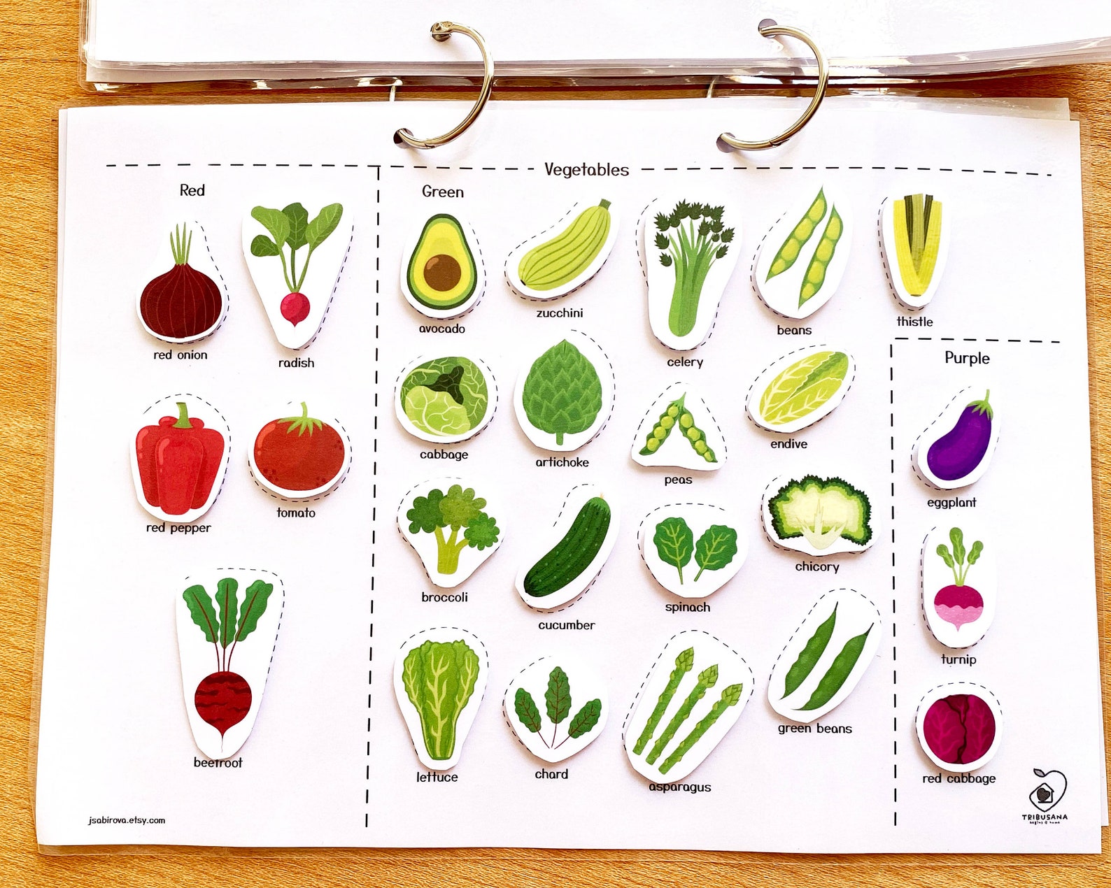 Eating Real Rainbow Worksheet Printable Busy Book Activity - Etsy