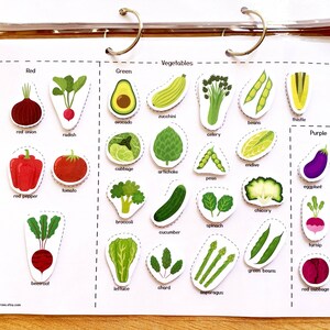 Eating Real Rainbow Worksheet, Printable Busy Book, Activity Page for ...