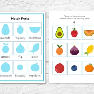 Fruits Sorting Busy Book Printable, Fruits and Vegetables Busy Book ...
