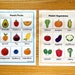 Fruits Sorting Busy Book Printable Fruits and Vegetables Busy - Etsy