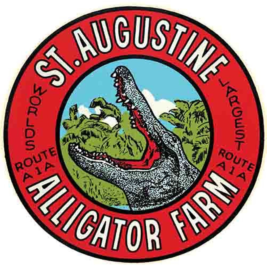Vintage 1950's Style St. Augustine Florida FL Alligator Farm Retro ...
