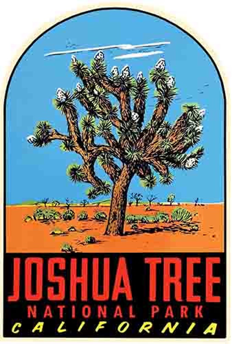 Vintage 1960's Style Joshua Tree National Park CA California Retro ...