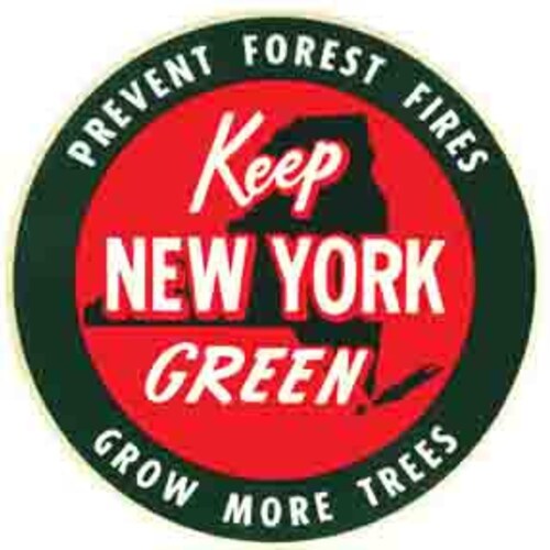 Vintage 1950's Style Catskill Mountains NY New York Retro - Etsy