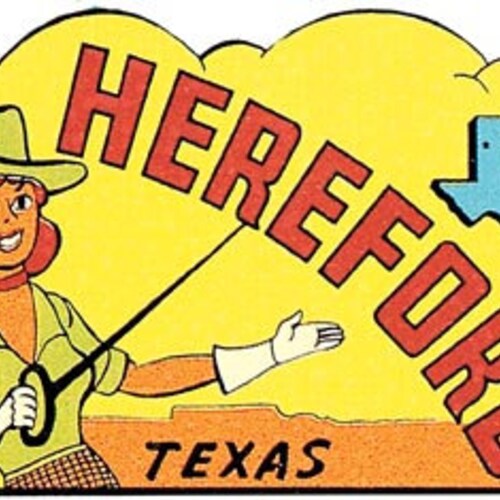 Vintage 1950's Style Dallas TX Texas Rodeo Retro Travel - Etsy