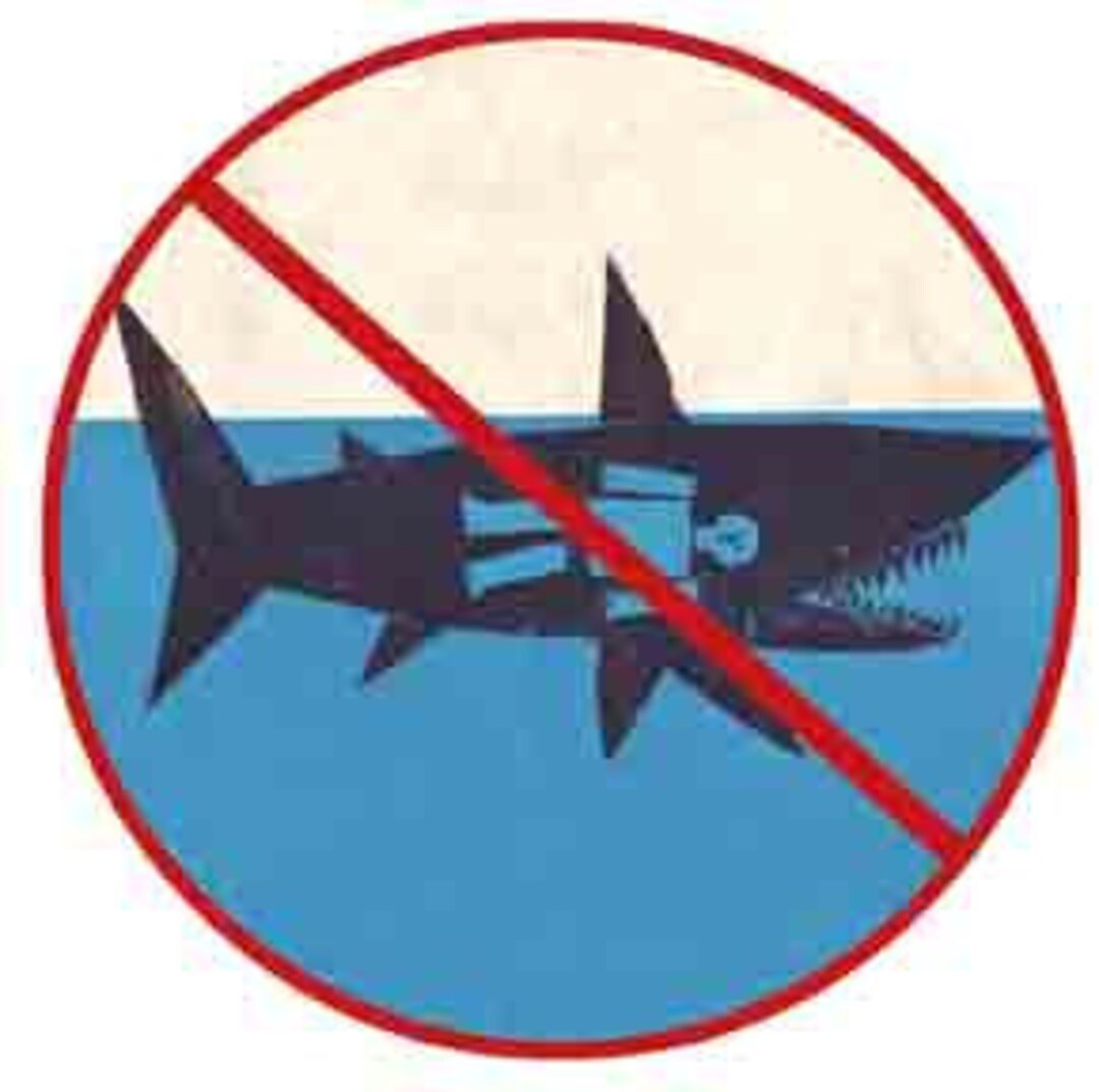 Vintage 1970's Style No Sharks Funny Jaws CA California Surfing Surf ...