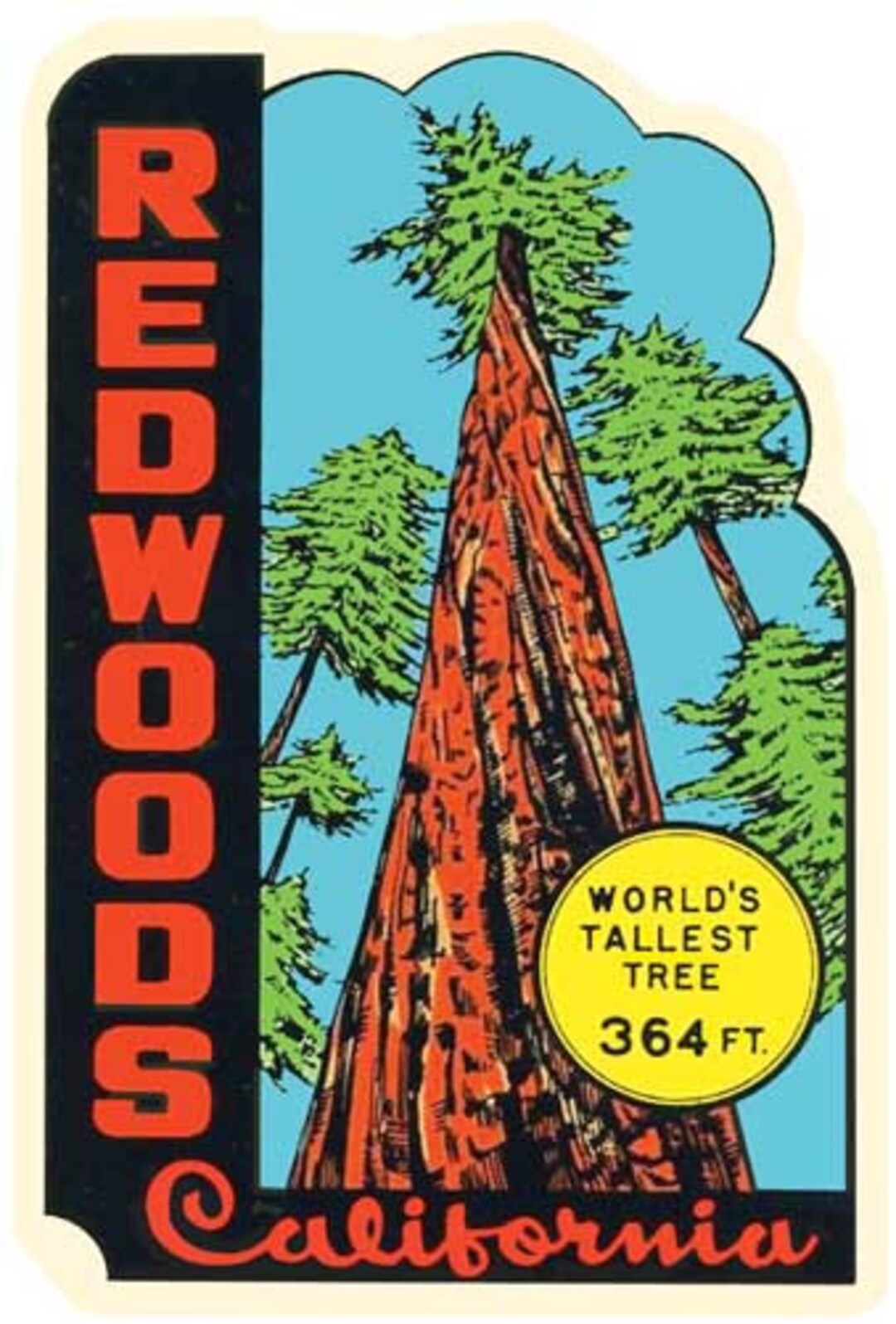 Vintage 1950's Style Redwoods California CA Tallest Tree Retro Travel ...