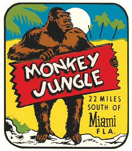 Vintage 1950's Style Monkey Jungle Park Everglades Miami FL Florida ...