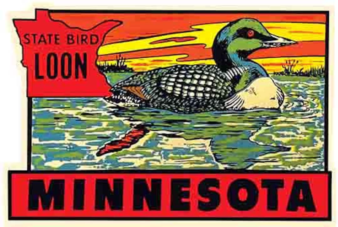 Vintage 1950's Style MN Minnesota State Bird Loon Hunting Retro Travel ...
