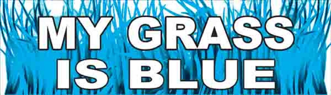 Vintage 1970's Style My Grass is Blue Bluegrass Music Retro Travel ...