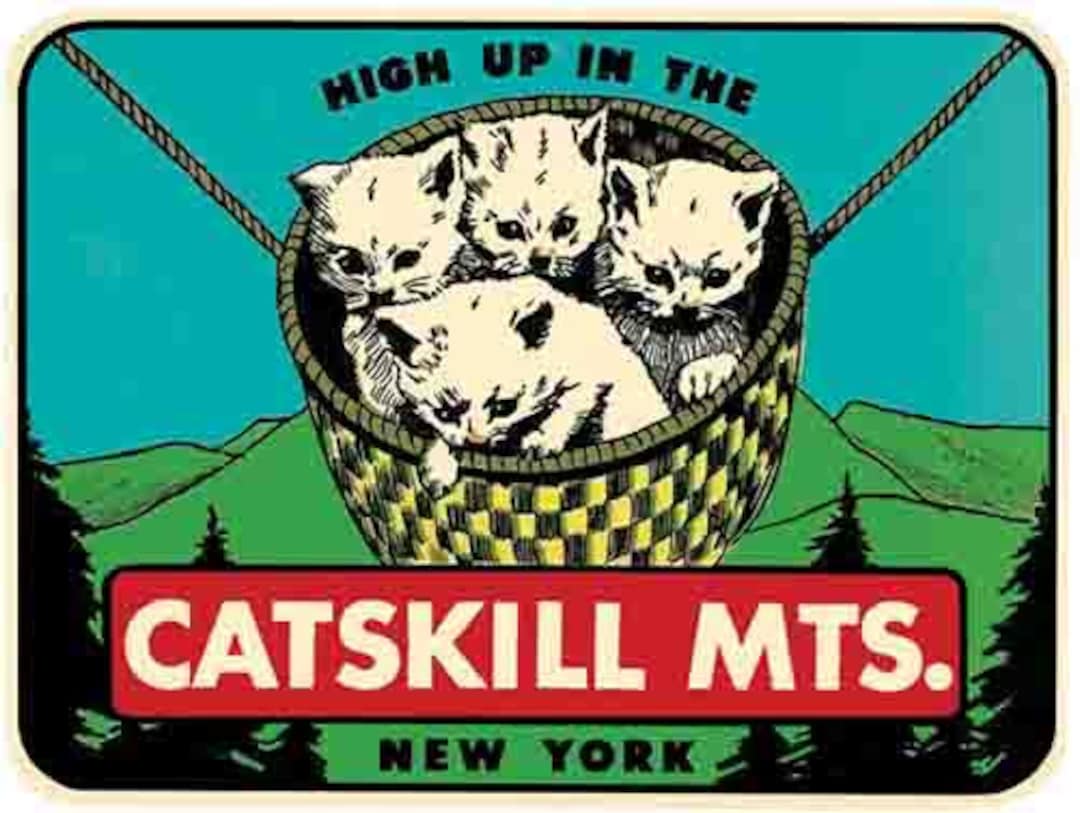 Vintage 1950's Style Catskill Mountains New York NY Adirondack Retro ...