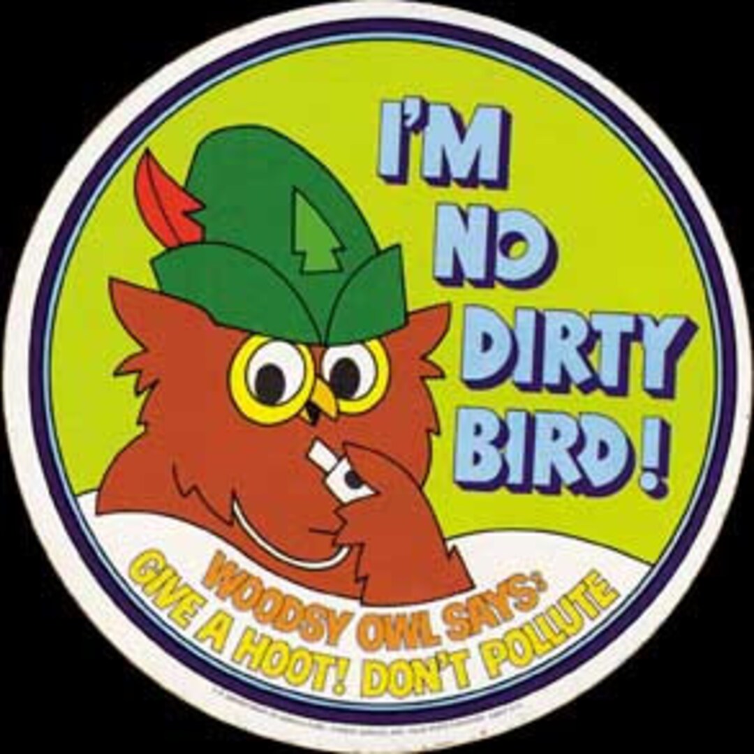 Vintage 1960's Style I'm No Dirty Bird Woodsy Environmental Don't ...
