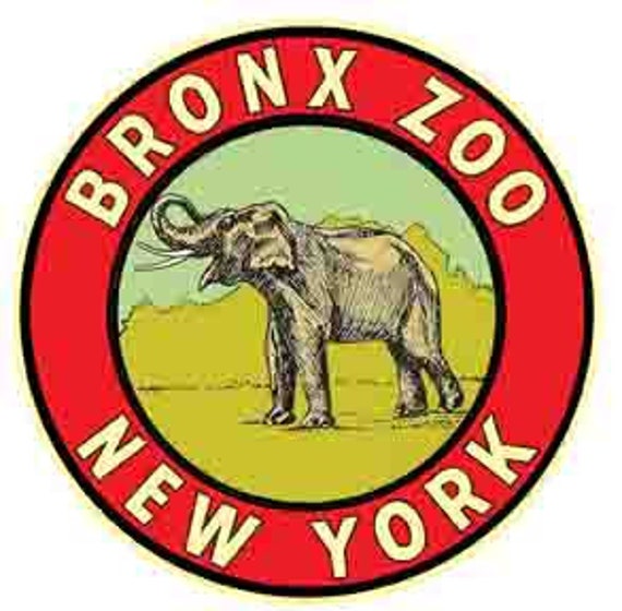 Vintage 1950's Style Bronx Zoo NYC New York City Retro | Etsy