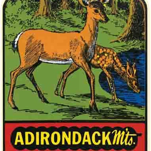 Vintage 1950's Style Catskill Mountains NY New York Retro - Etsy