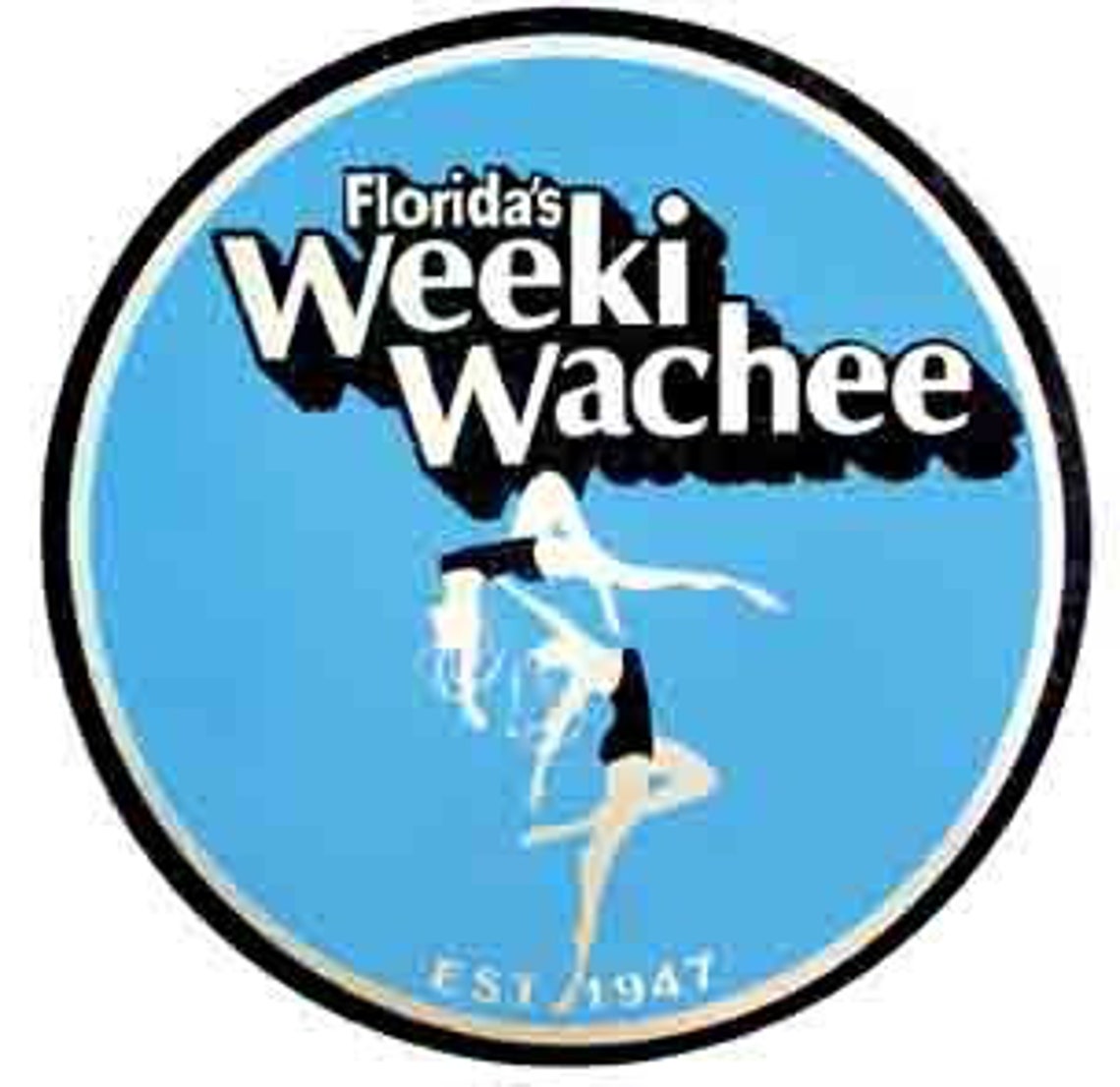 Vintage 1950's Style Weeki Wachee FL Florida Mermaids Retro Travel ...