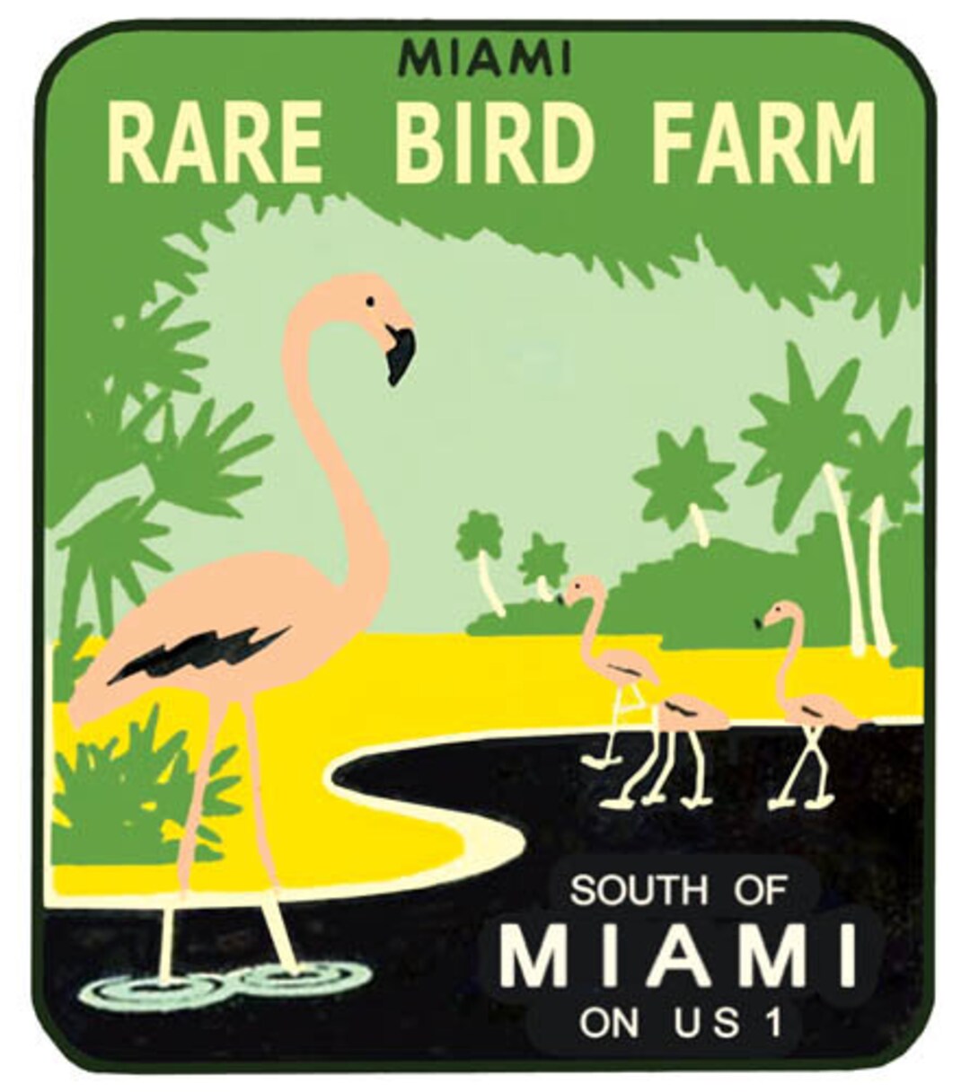 Vintage 1950's Style Rare Bird Farm Miami Beach FL Florida Retro Travel ...