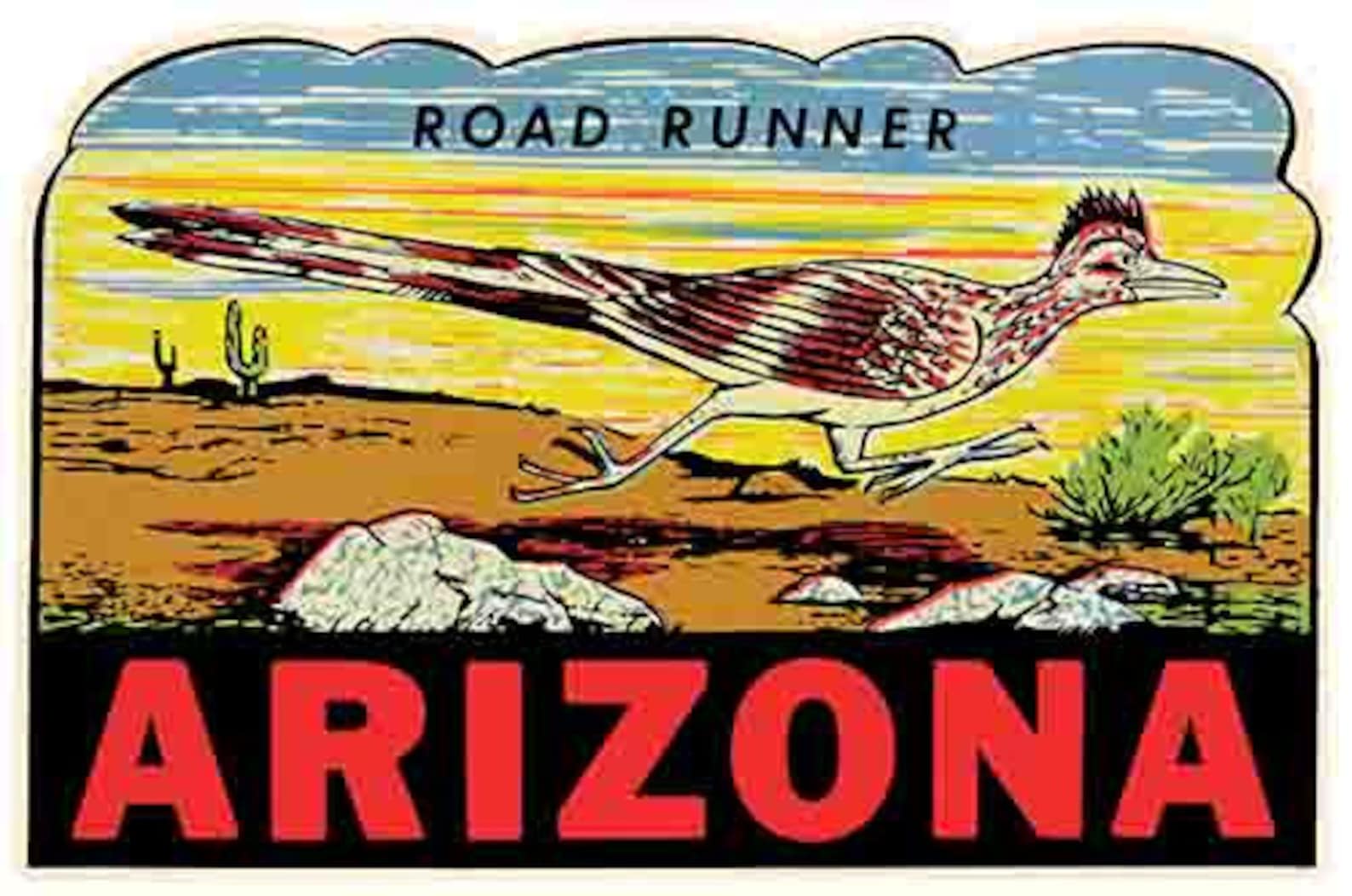 Vintage 1960's Style Arizona Desert Road Runner National Park AZ Retro ...