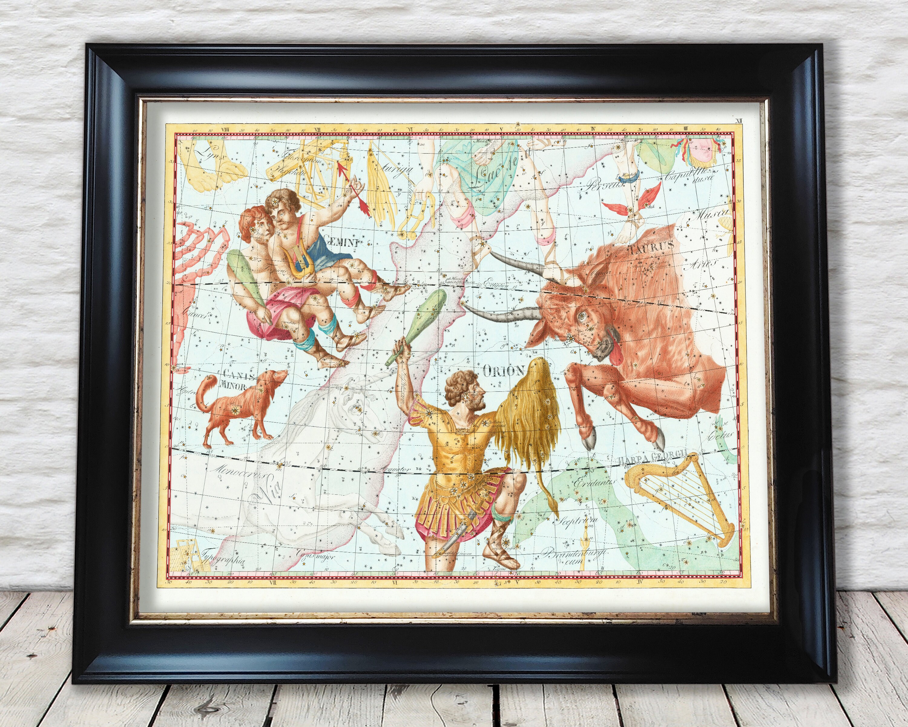 ORION TAURUS Gemini Constellations Map by Johann Bode 1801 - Etsy