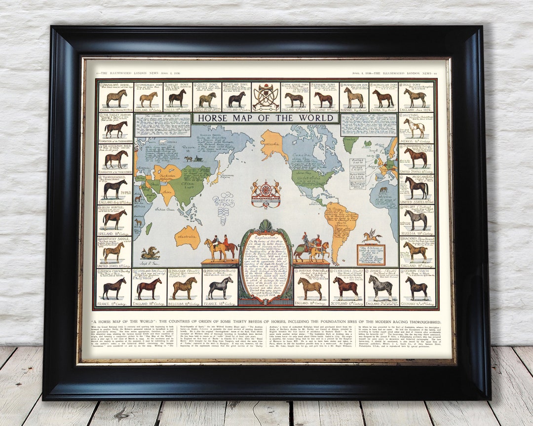 HORSE MAP of the World 1936 - Shire Clydesdale Shetland Thoroughbred ...