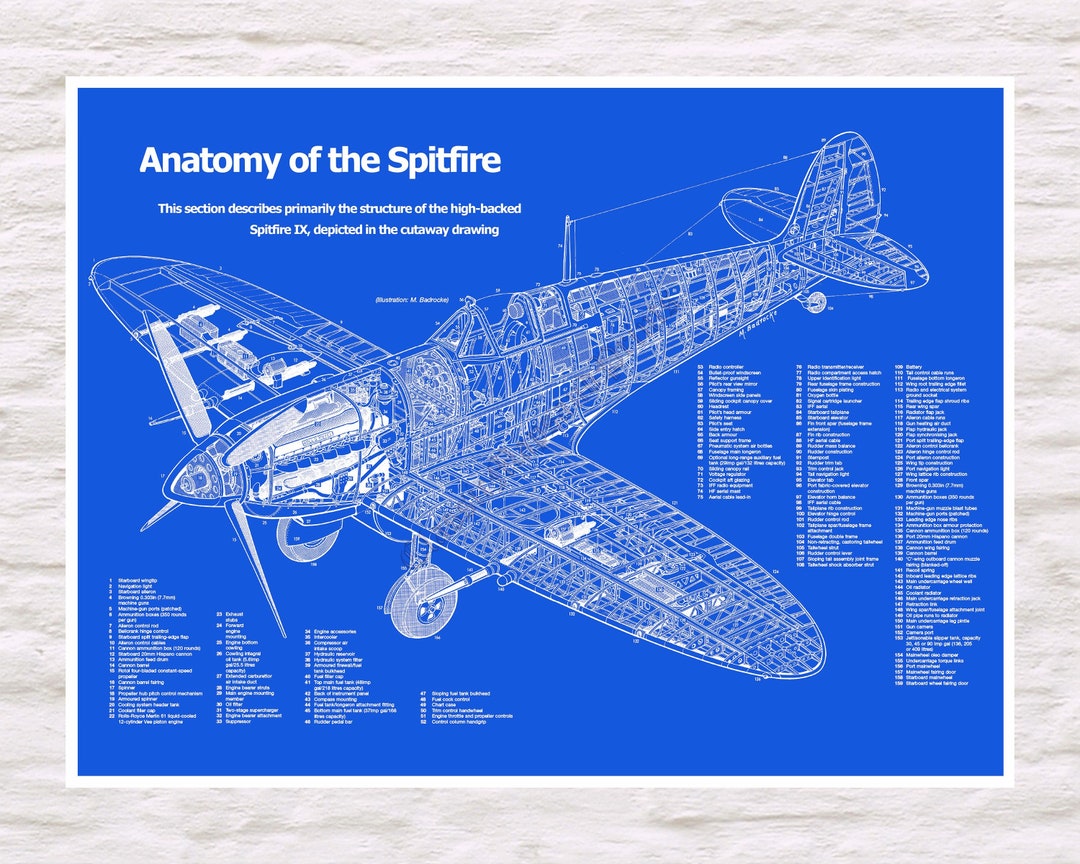 SUPERMARINE SPITFIRE Cutaway Metal Sign Exceptional Quality 30x40cm ...