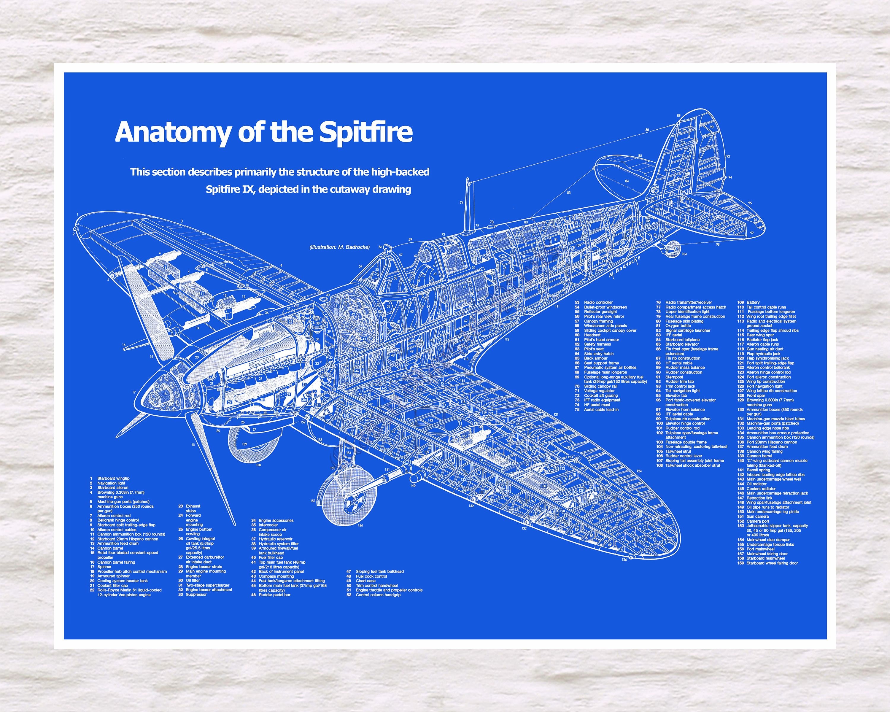 SUPERMARINE SPITFIRE Cutaway Metal Sign Exceptional Quality 30x40cm ...