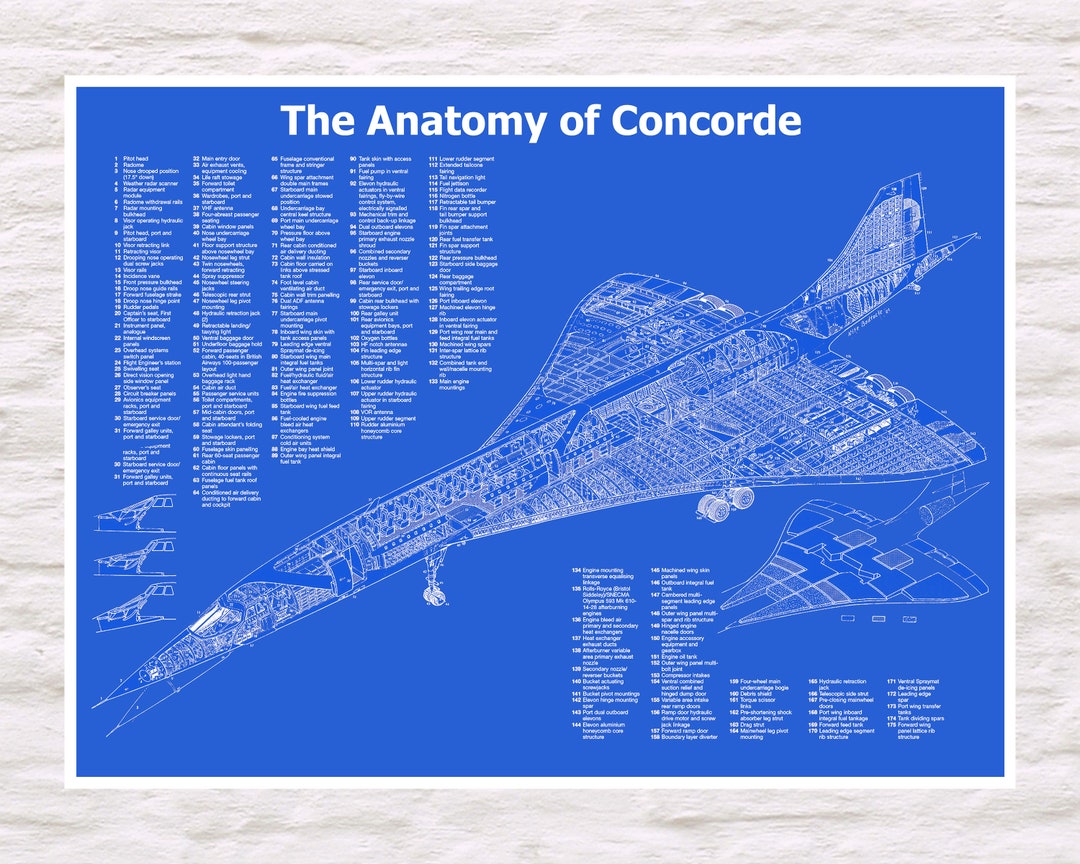 CONCORDE Supersonic Airliner Cutaway Metal Print Exceptional Quality ...