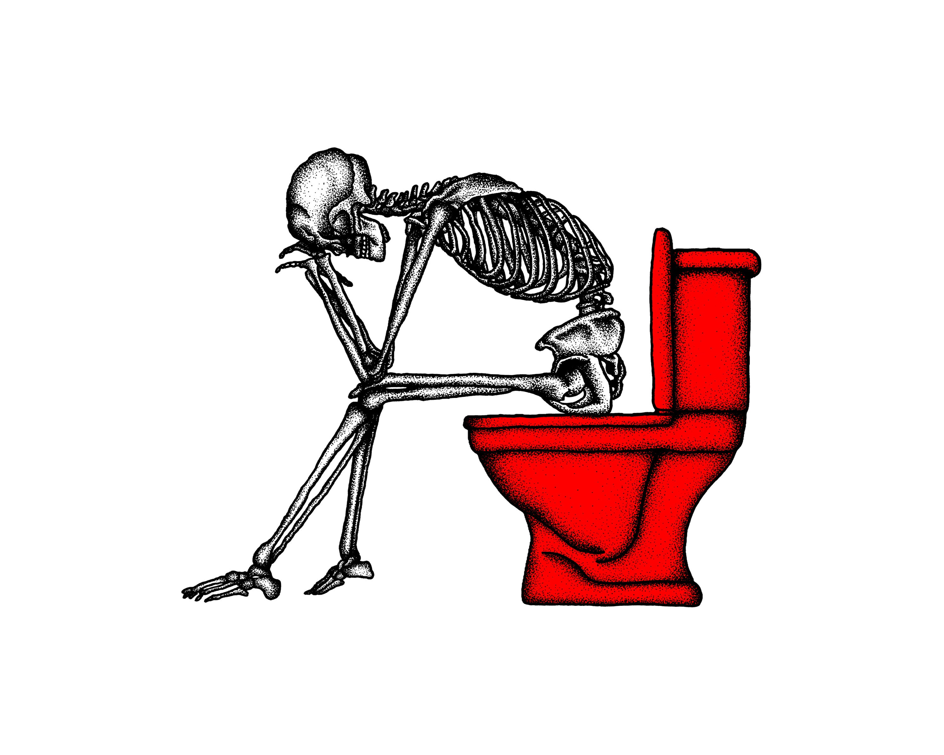 Funny Constipated Skeleton Print — Wall Hanging, Art, Bones, Toilet ...