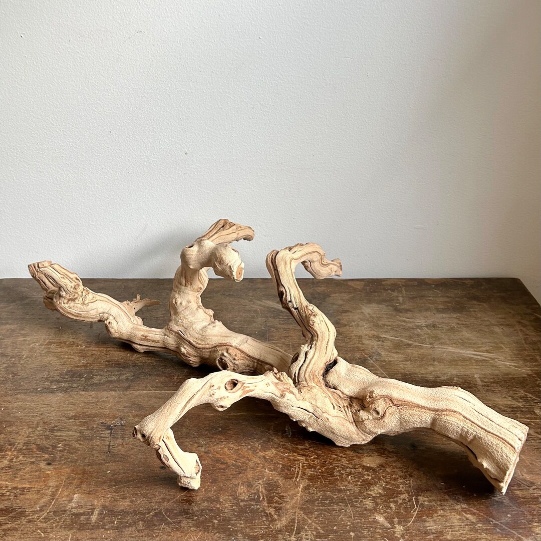 Sandblasted Grapewood Branch Centerpiece Rustic Branch Accent Home ...