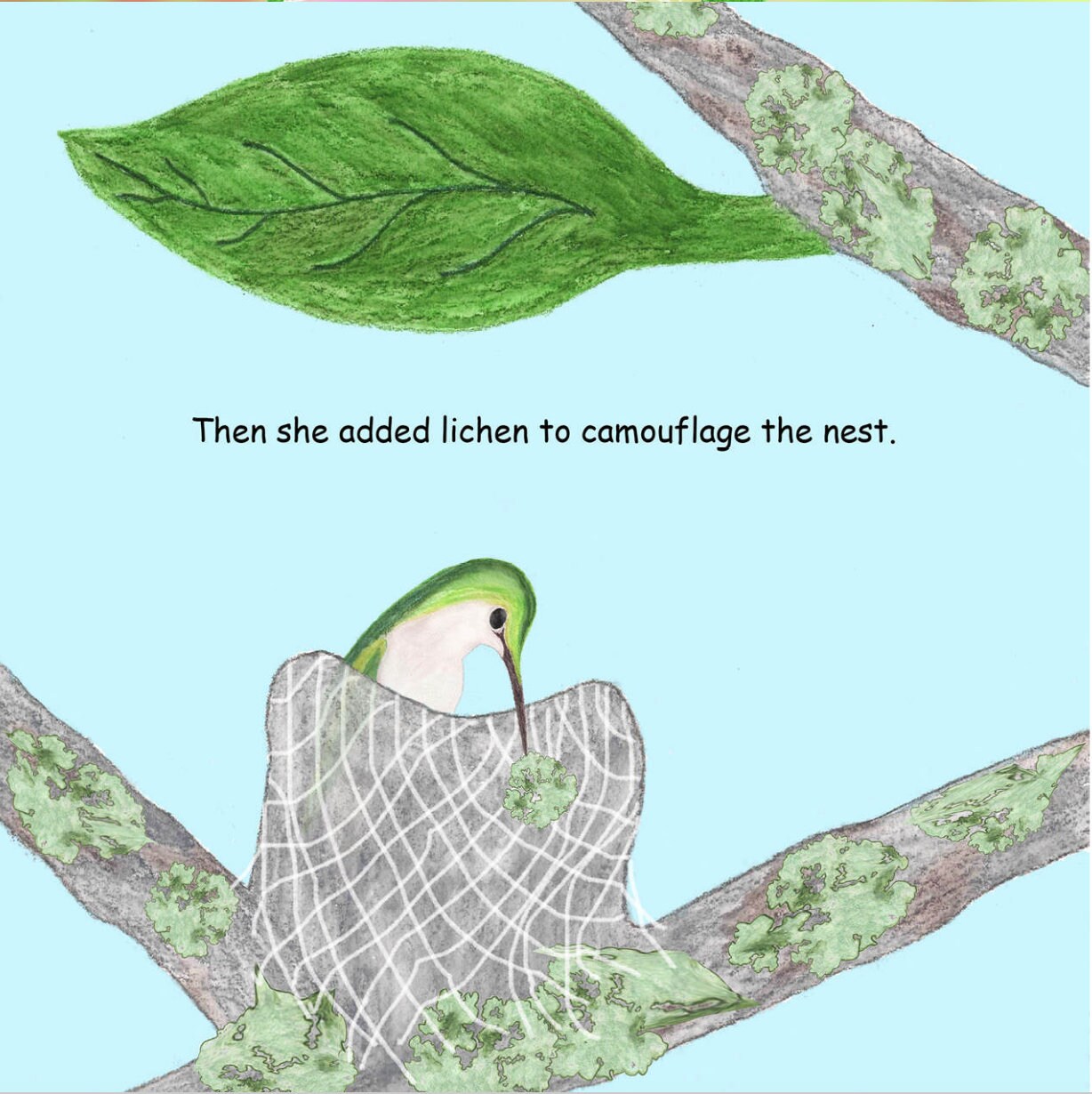 Baby Hummer Grows up Children's Book Signed by Author - Etsy