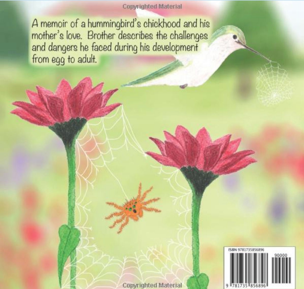 Baby Hummer Grows Up Children's Book Signed by Author | Etsy