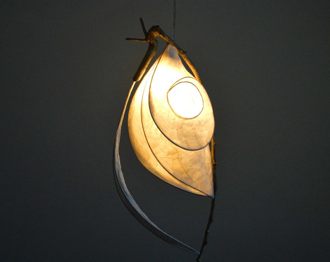 Shell Sculpture Light - Etsy