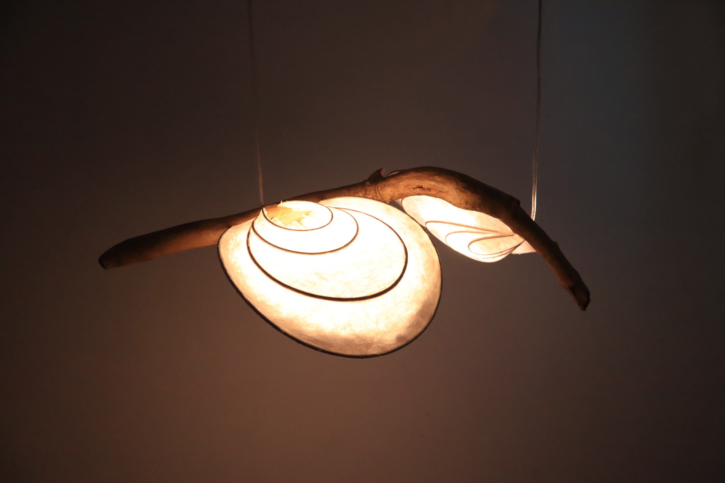 Wings of Flare Wings Sculpture Light Driftwood Ceiling - Etsy